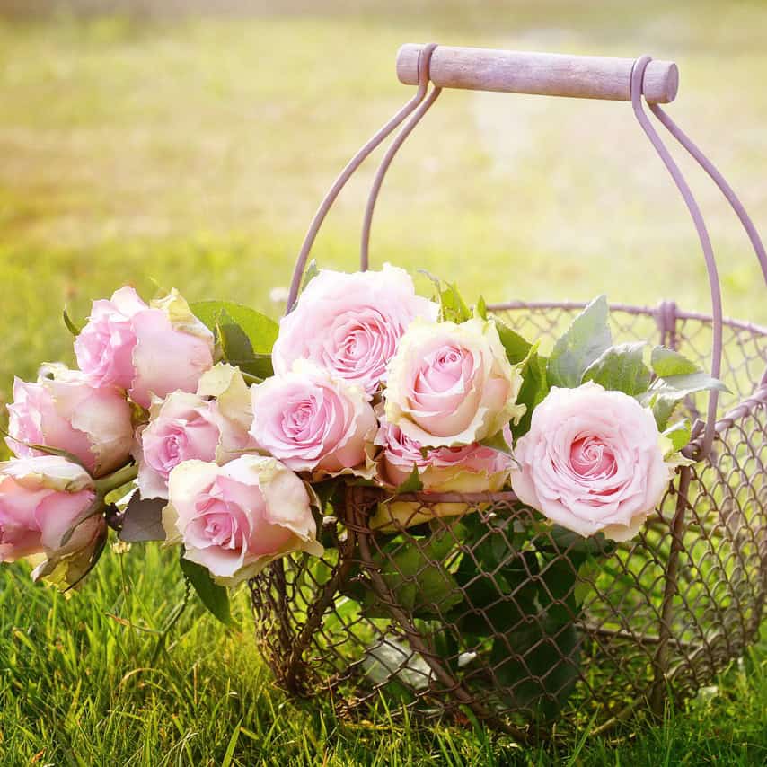 Polamer, Inc – Gifts & Flowers